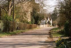 Local History of Ashdon Village in Essex