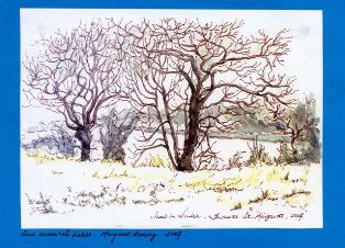 rodingmargaretimages