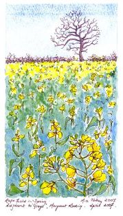 rodingmargaretimages